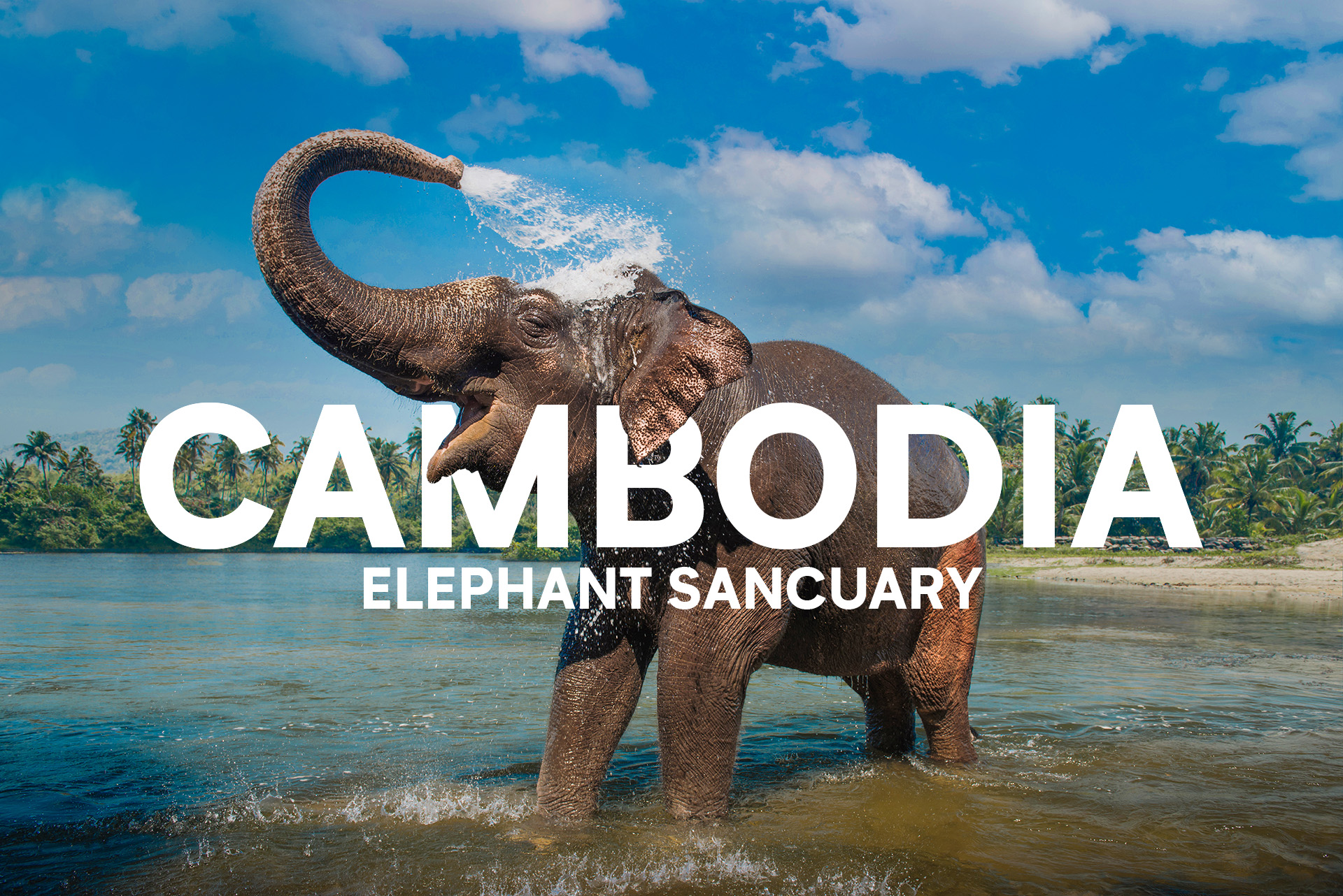 Home - Cambodia Elephant Sanctuary