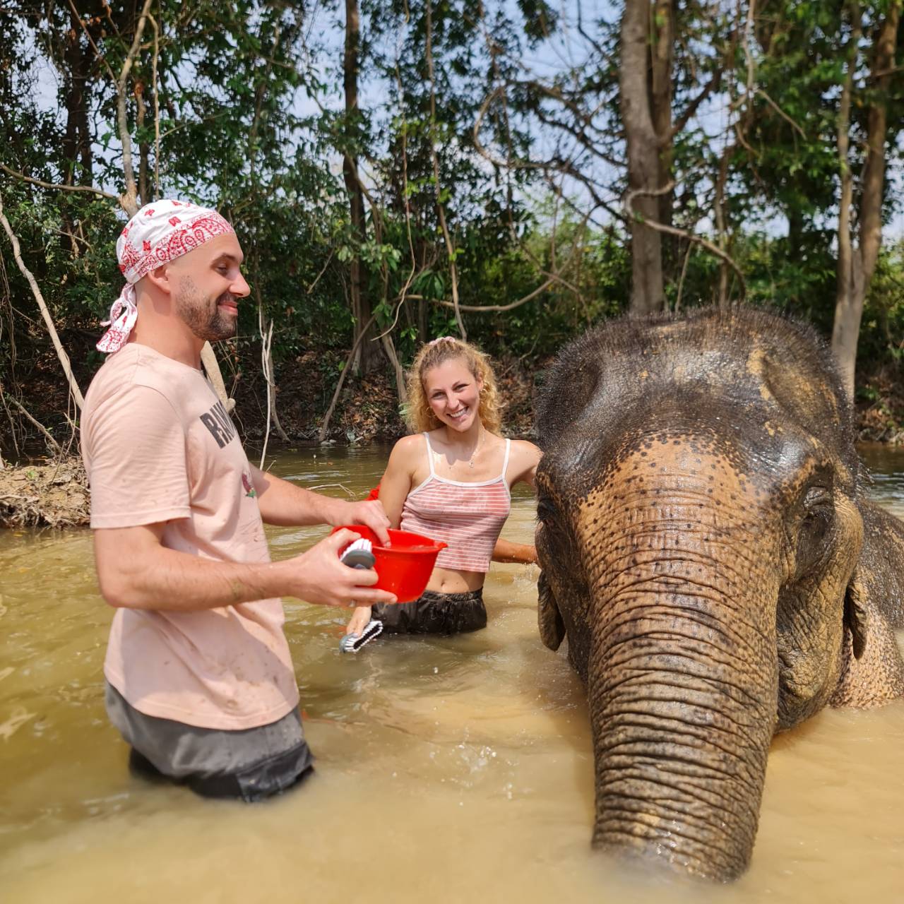 About Us Cambodia Elephant Sanctuary