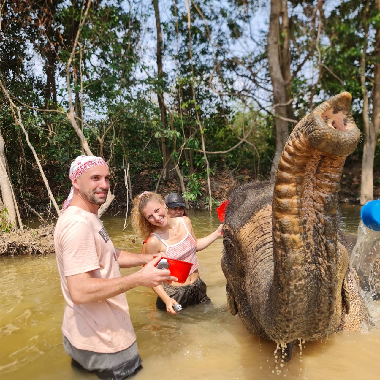 Program A – Make a wonderful Experience - Cambodia Elephant Sanctuary