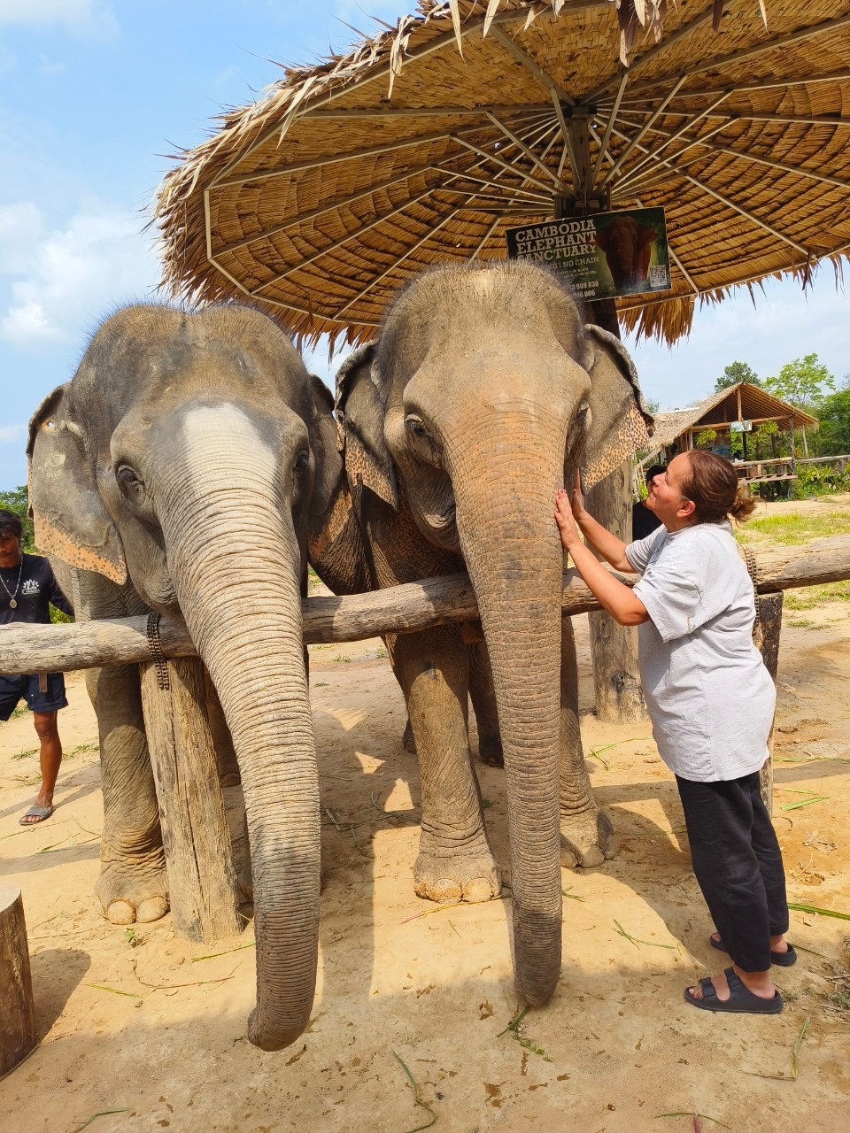 Gallery - Cambodia Elephant Sanctuary