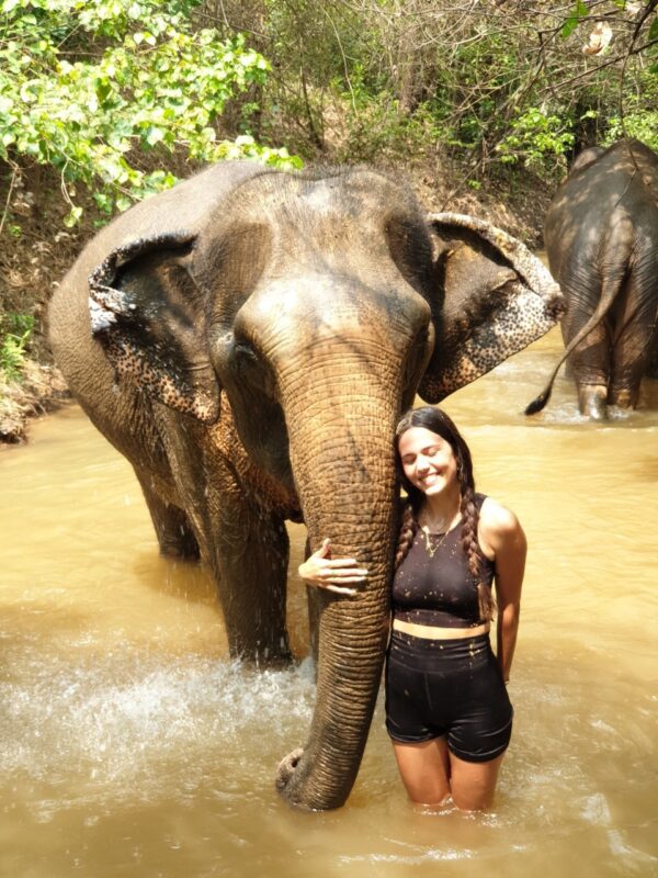 Gallery - Cambodia Elephant Sanctuary